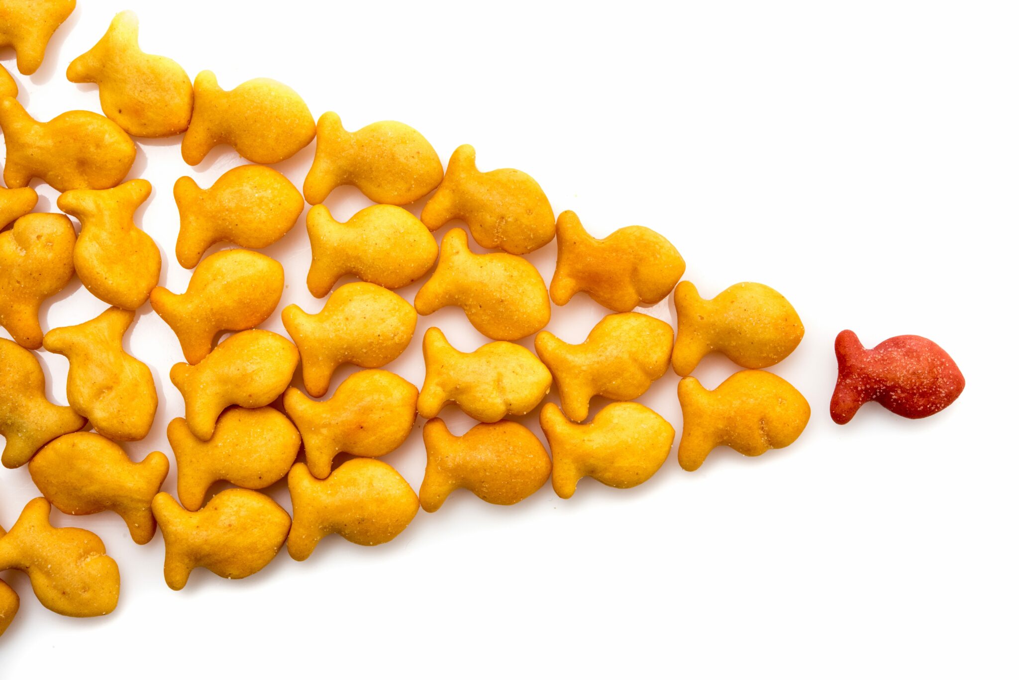 Blog - How to Fascinate